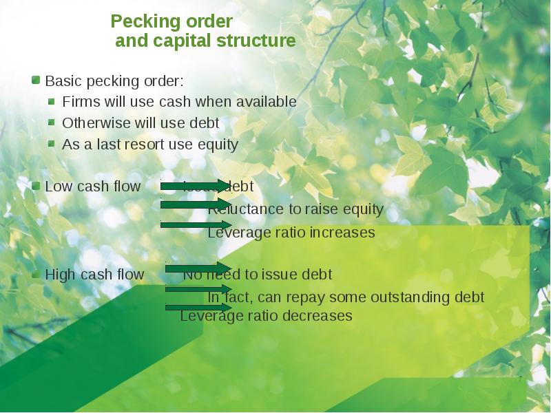 Capital Structure 2: Pecking Order and Market Timing