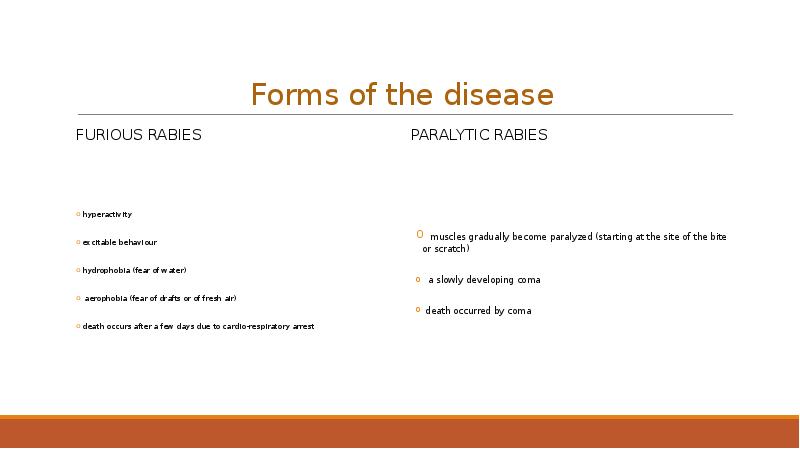 The most dangerous diseases. Rabies