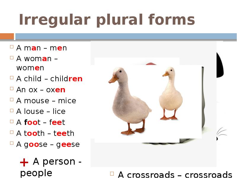 Singular and plural