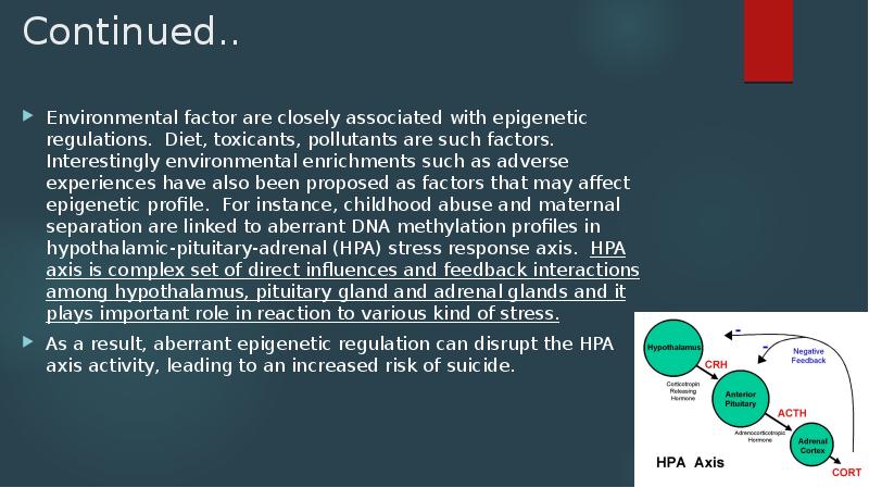 Behavioral epigenetics - презентация, доклад, проект