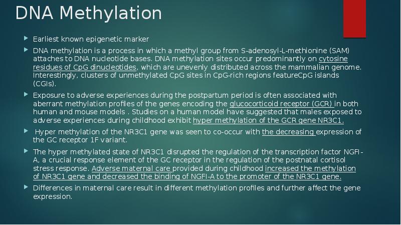 Behavioral epigenetics - презентация, доклад, проект