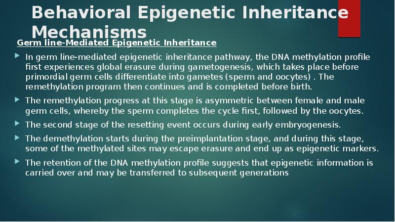Behavioral epigenetics - презентация, доклад, проект
