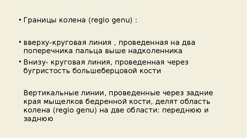 Топографическая анатомия колена и голени