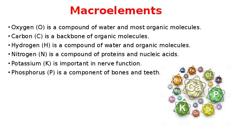 Bioelements