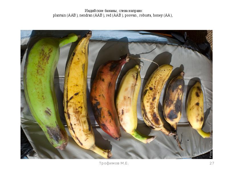 Картография. Картографический метод