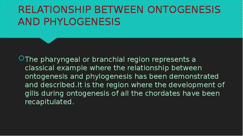 RELATIONSHIP OF ONTOGENESIS AND PHYLOGENESIS.RULES OF PHYLOGENESIS ...