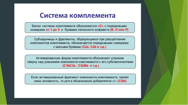 Система комплемента