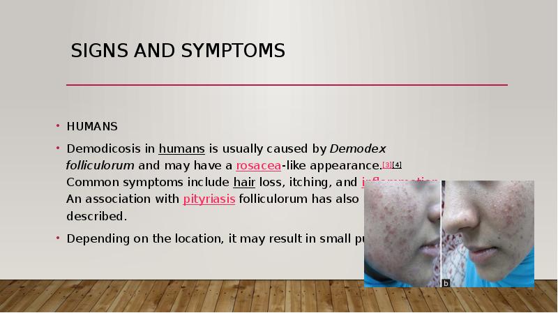 MITE AGENT DEMODICOSIS