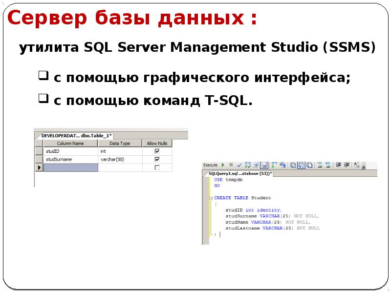 Создание базы данных и таблиц в Microsoft SQL Server