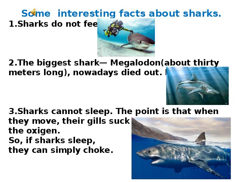 How about talking about sharks? (Agree or disagree)