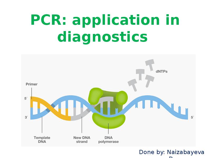 PCR: application in diagnostics