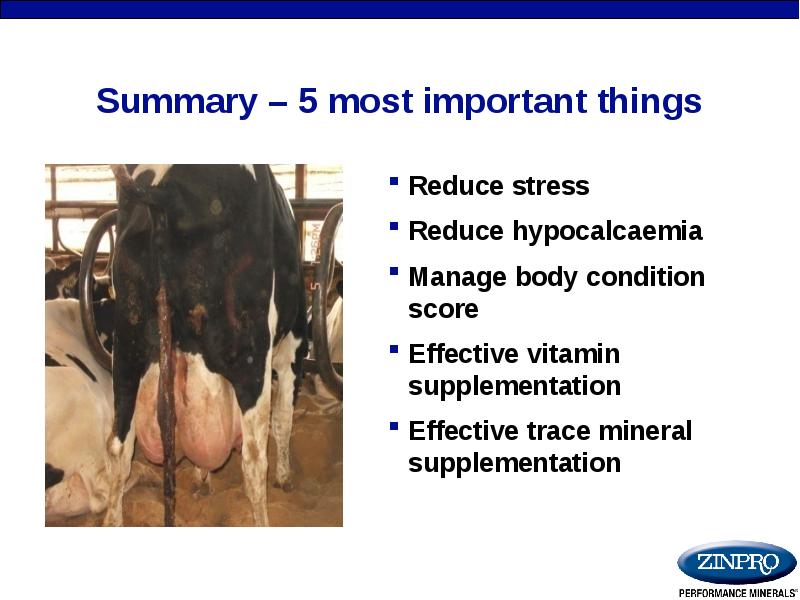 Retained placentas or Retained fetal membranes