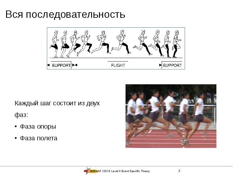 Спринт 2