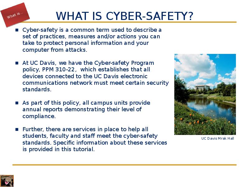 Cyber-safety basics