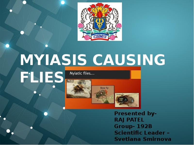 MYIASIS CAUSING FLIES Presented by- RAJ PATEL Group- 192B Scientific ...