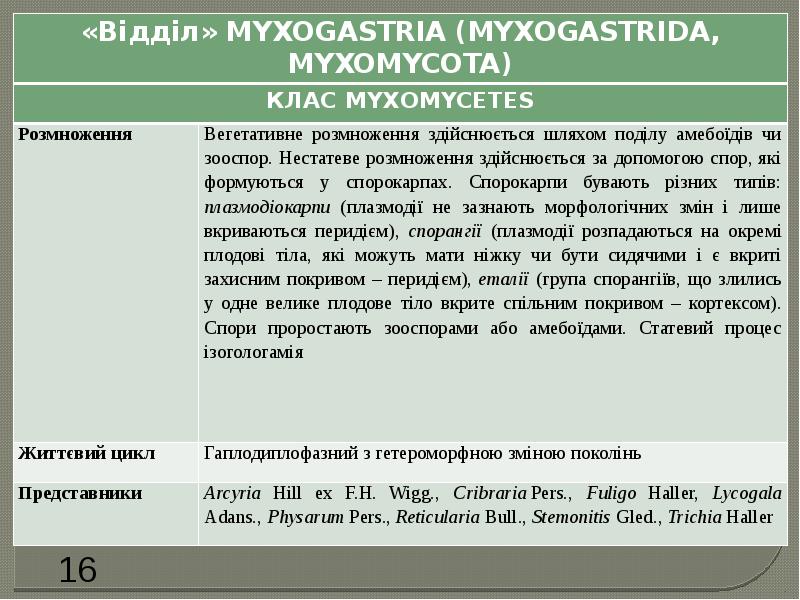 Мікологія та альґологія - презентация, доклад, проект