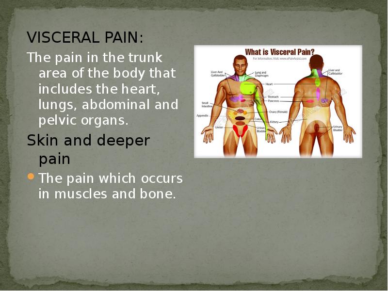 T ypes and theories of pain