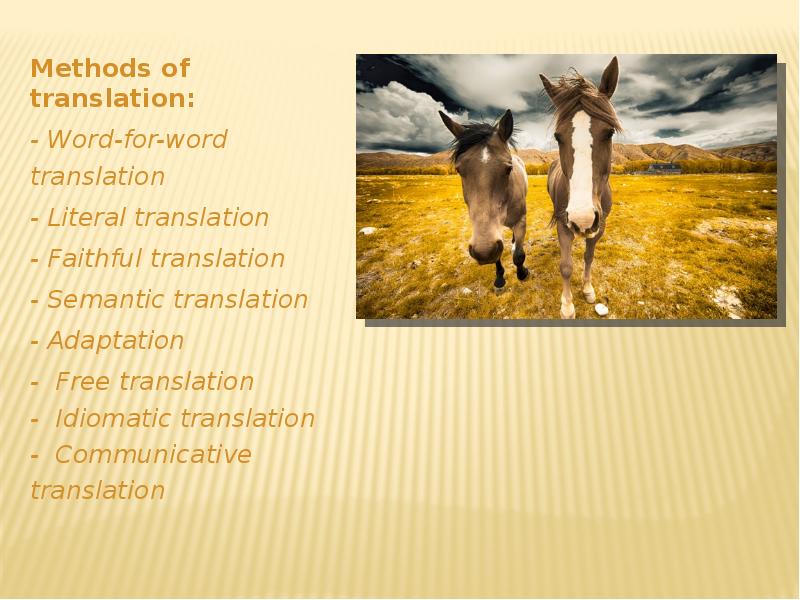 TRANSLATION IN THE FIELD OF HORSE BREEDING