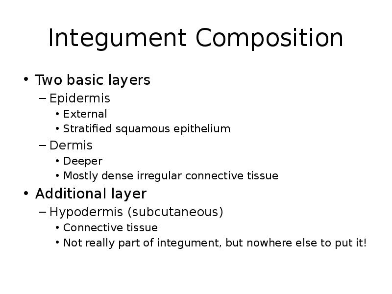 The Integumentary System