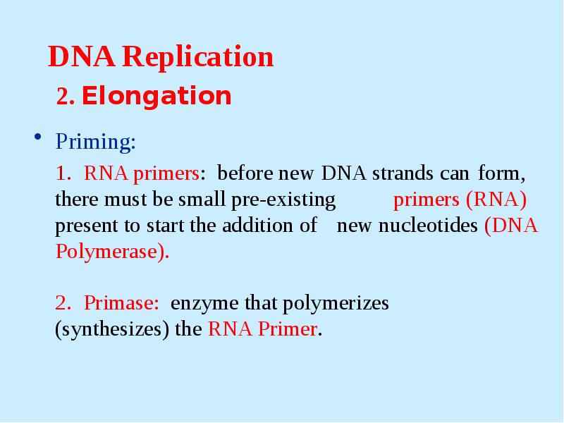 DNA DNA replication